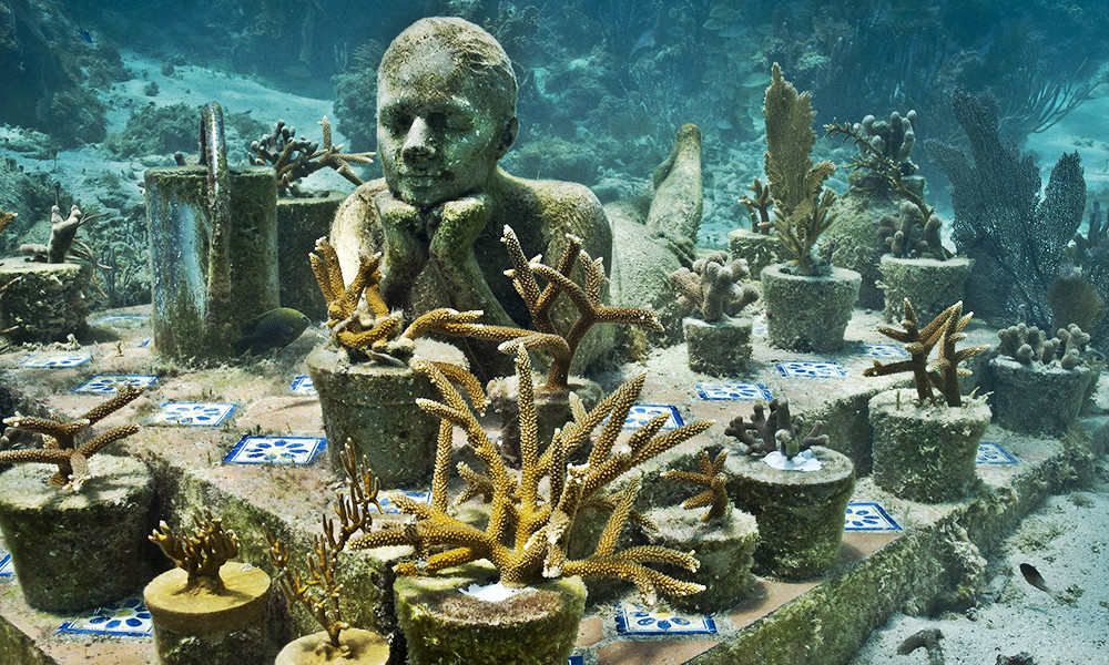 Cancun - Discovery Scuba Diving 1 Tank + MUSA (Underwater Museum of Art ...